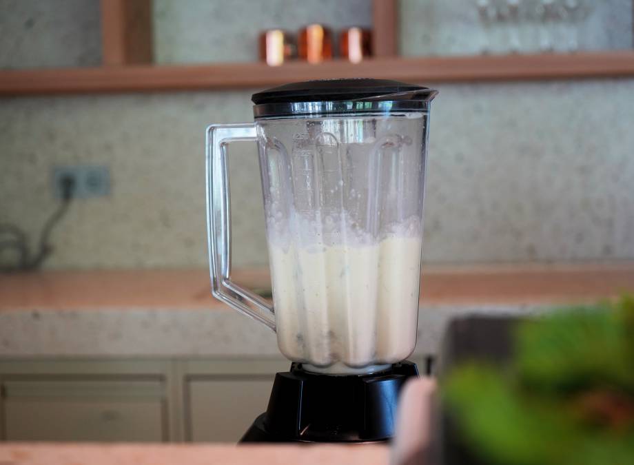 Forest Matcha | moar gut