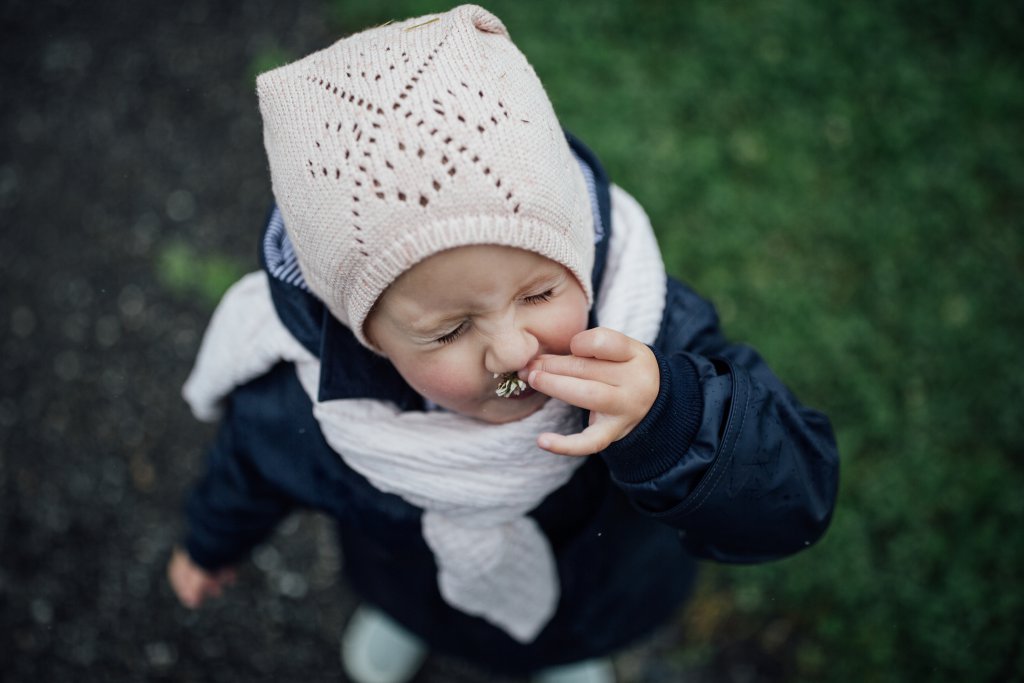 The healing power of herbs | moar gut