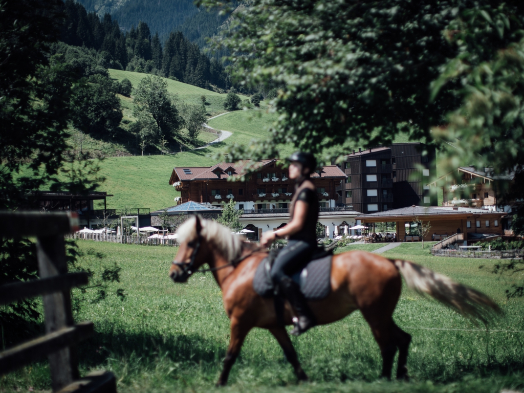 Moar Pferdeliebe | moar gut