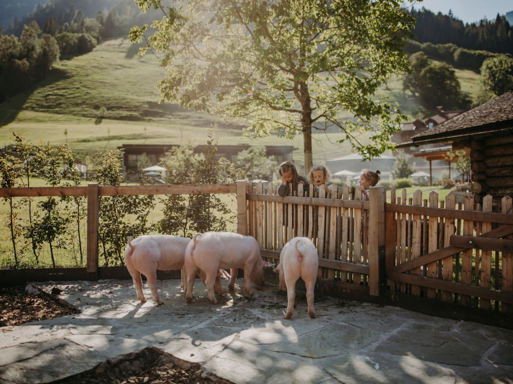 Vacation at the Children's Farm with Petting Zoo | moar gut